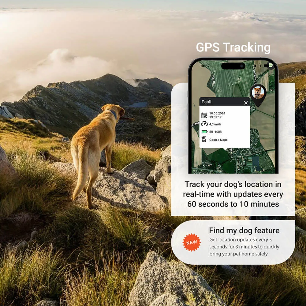 PAJ PET Finder 4G GPS tracker for dogs | PAJ GPS