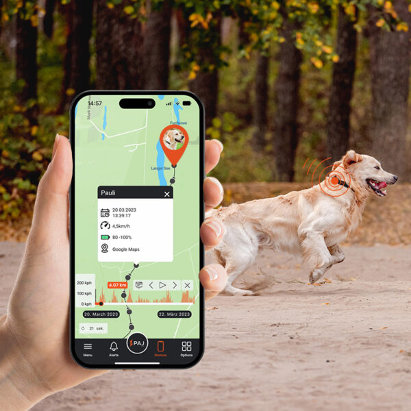 Dog Tracker : Guarding Paws for Safety | PAJ GPS
