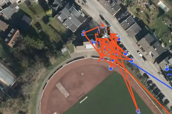 Cat Rescued Thanks to GPS Tracking - PAJ GPS Tracker