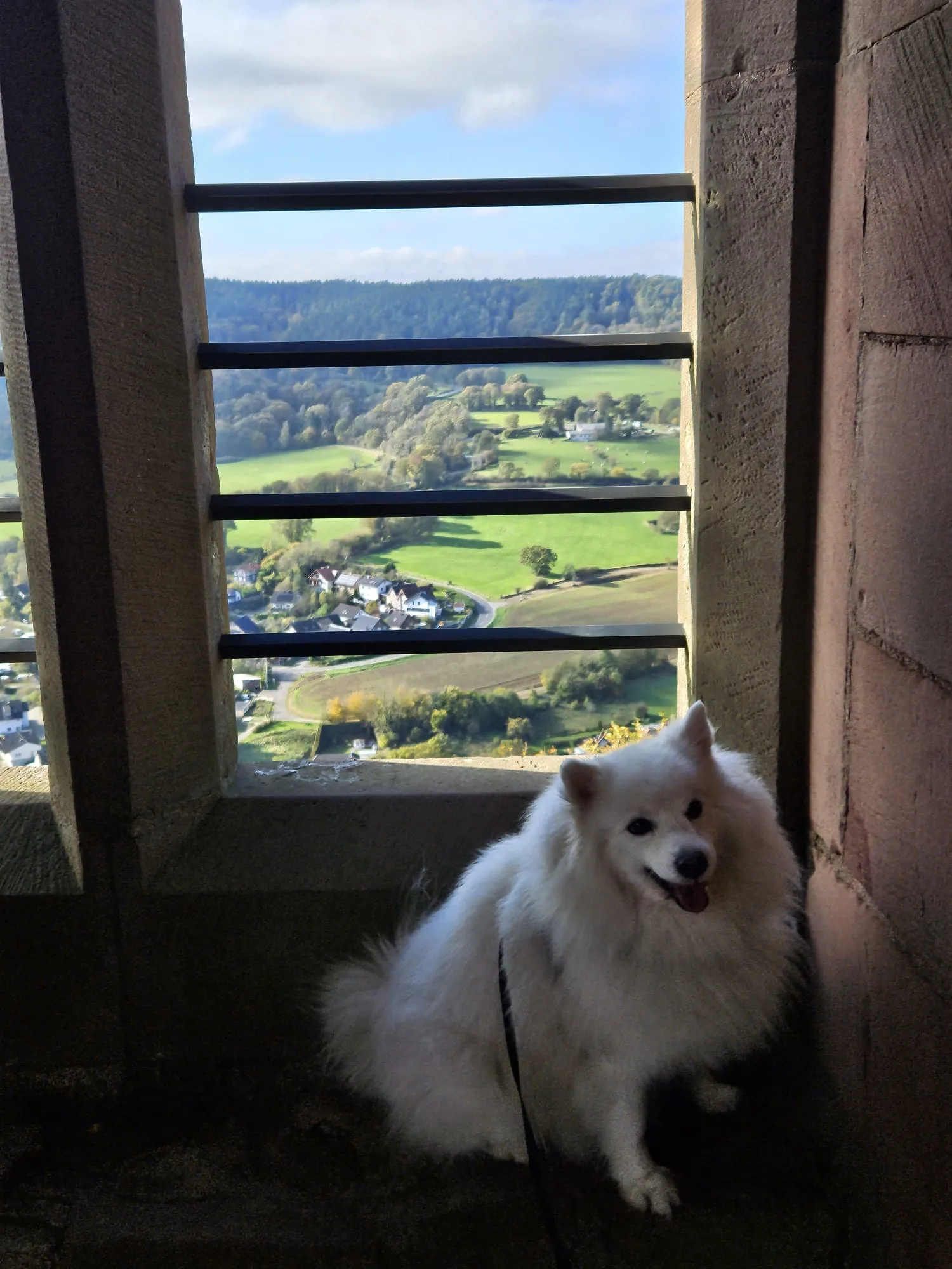 Dramatic Rescue Thanks to the PAJ GPS Tracker - PAJ GPS Tracker