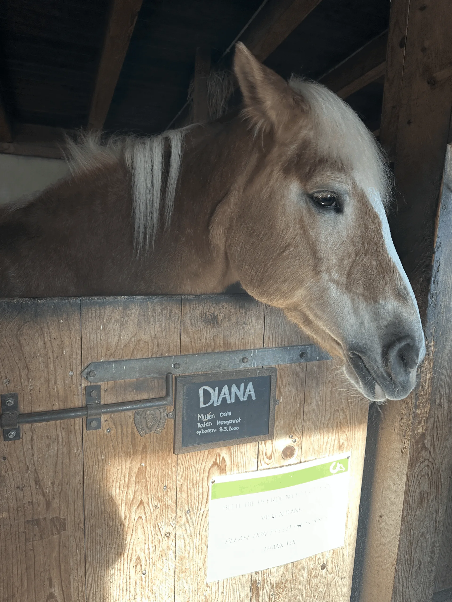 Always Knowing Where My Daughter Is - PAJ GPS Tracker