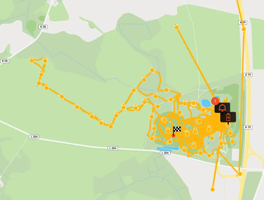 Our Cat Lucky – Always Safe Thanks to the GPS Tracker - PAJ GPS Tracker