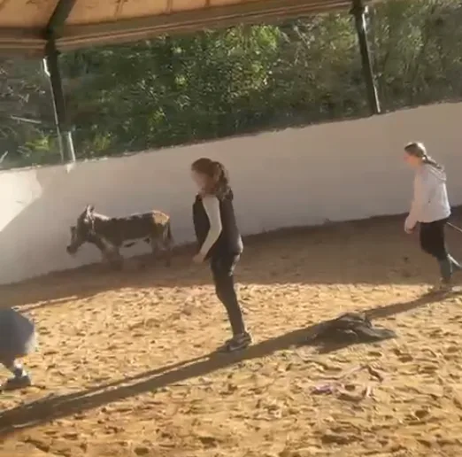 Knowing My Daughter’s Location at All Times - PAJ GPS Tracker