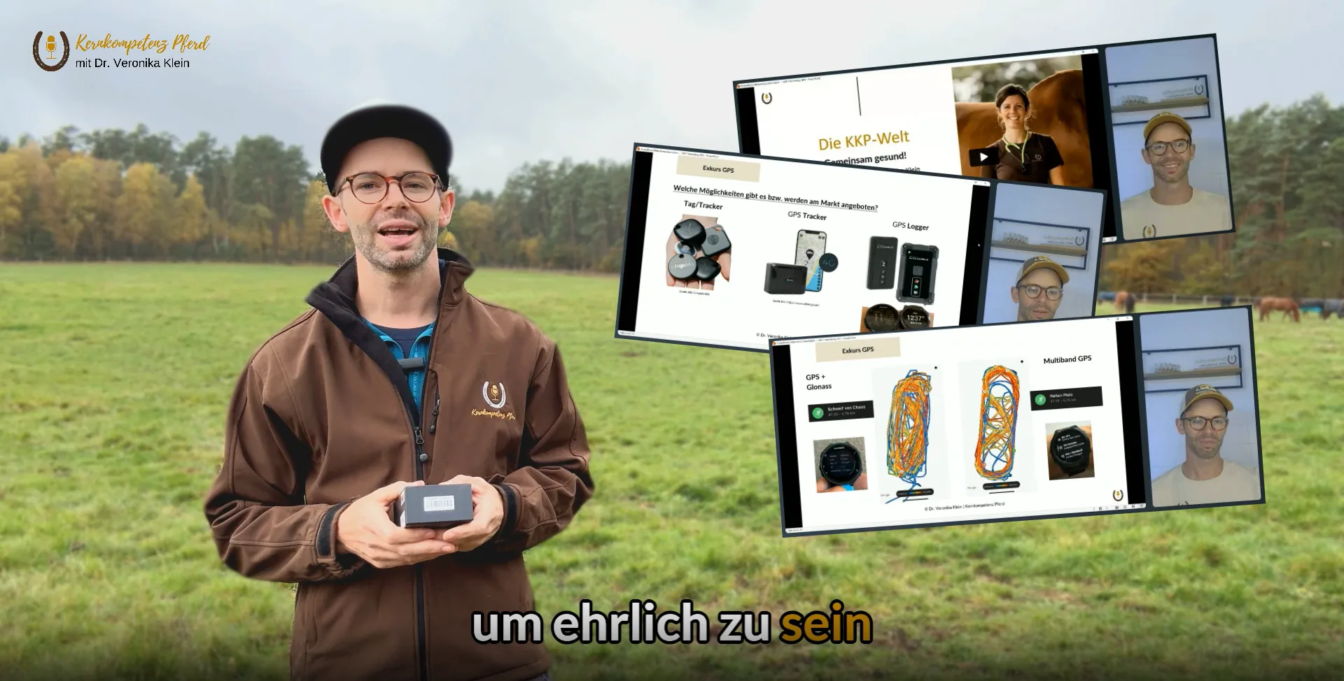 Improving Horse Health Through Reliable 24/7 Movement Tracking - PAJ ...